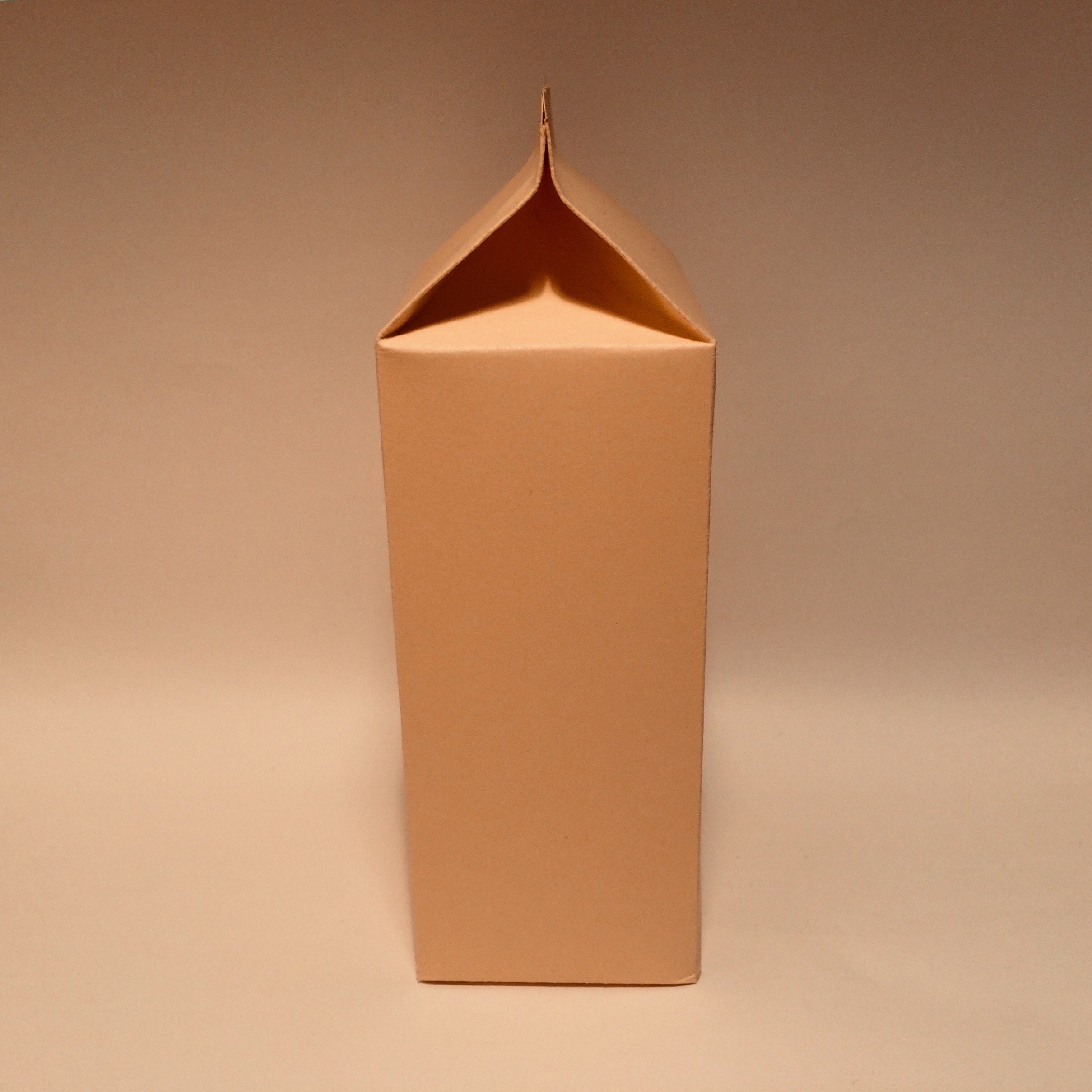 Milk box template milkbox milk carton carton box gable top | Etsy