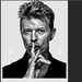 Realistic David Bowie 8 Multi Layer Stencil Set - Etsy