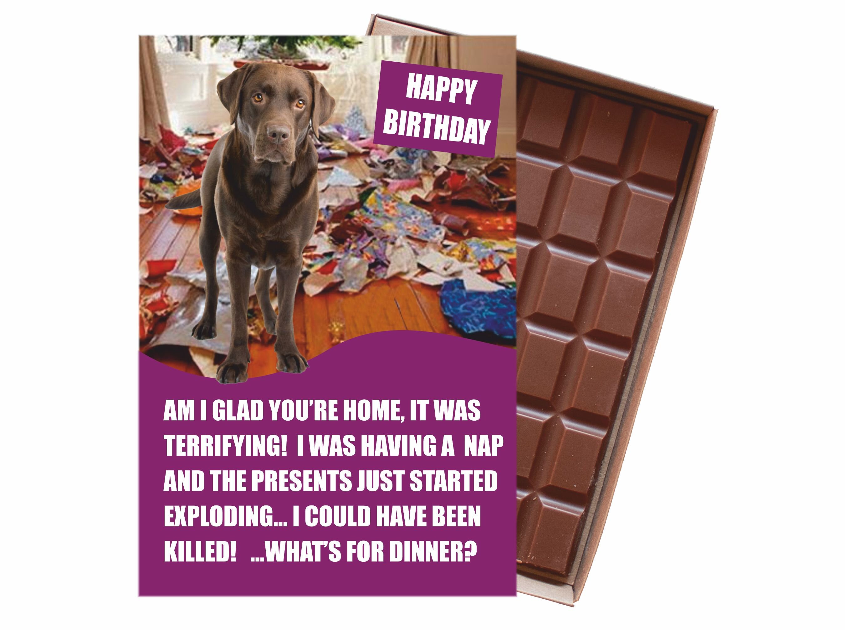 Funny Happy Birthday Labs