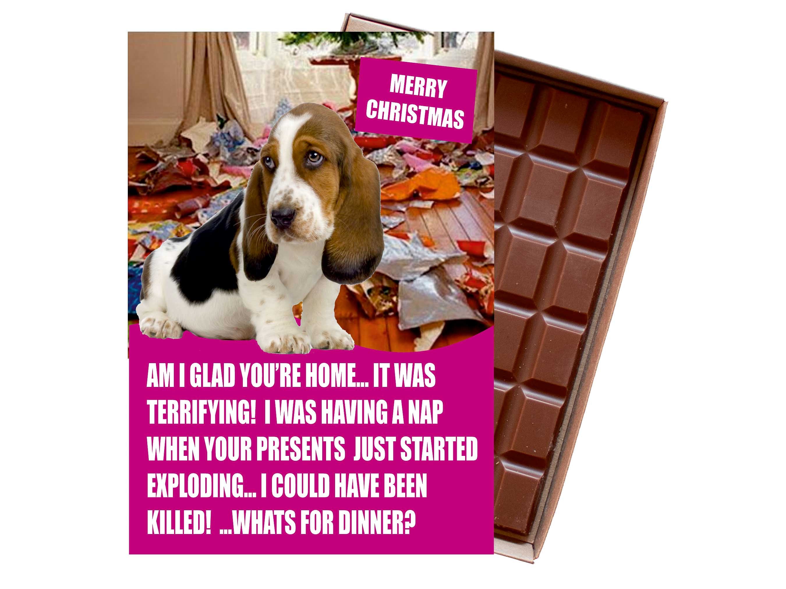 Dog Meme It Just Exploded