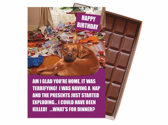 Rhodesian Ridgeback Birthday Card Funny Dog Gift 100g Boxed - Etsy UK