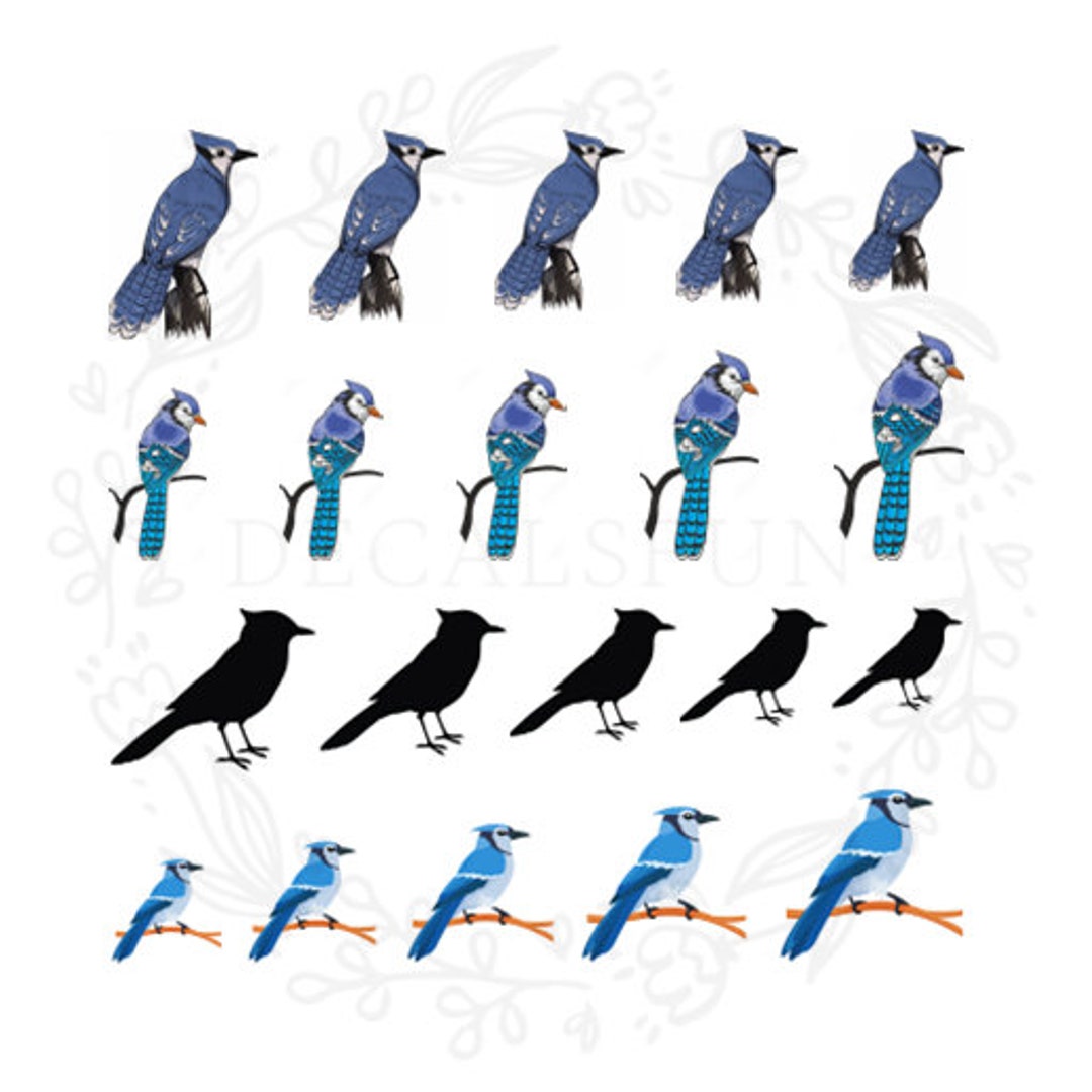 Blue Jay Nail Art Water Decals - Etsy