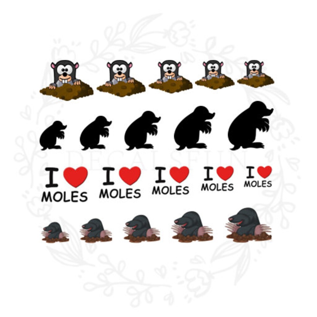 Mole Nail Art Water Decals - Etsy