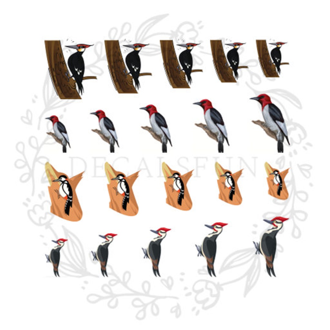 Woodpecker Nail Art Water Decals - Etsy