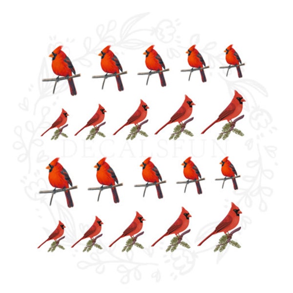 Cardinal Decal - Etsy