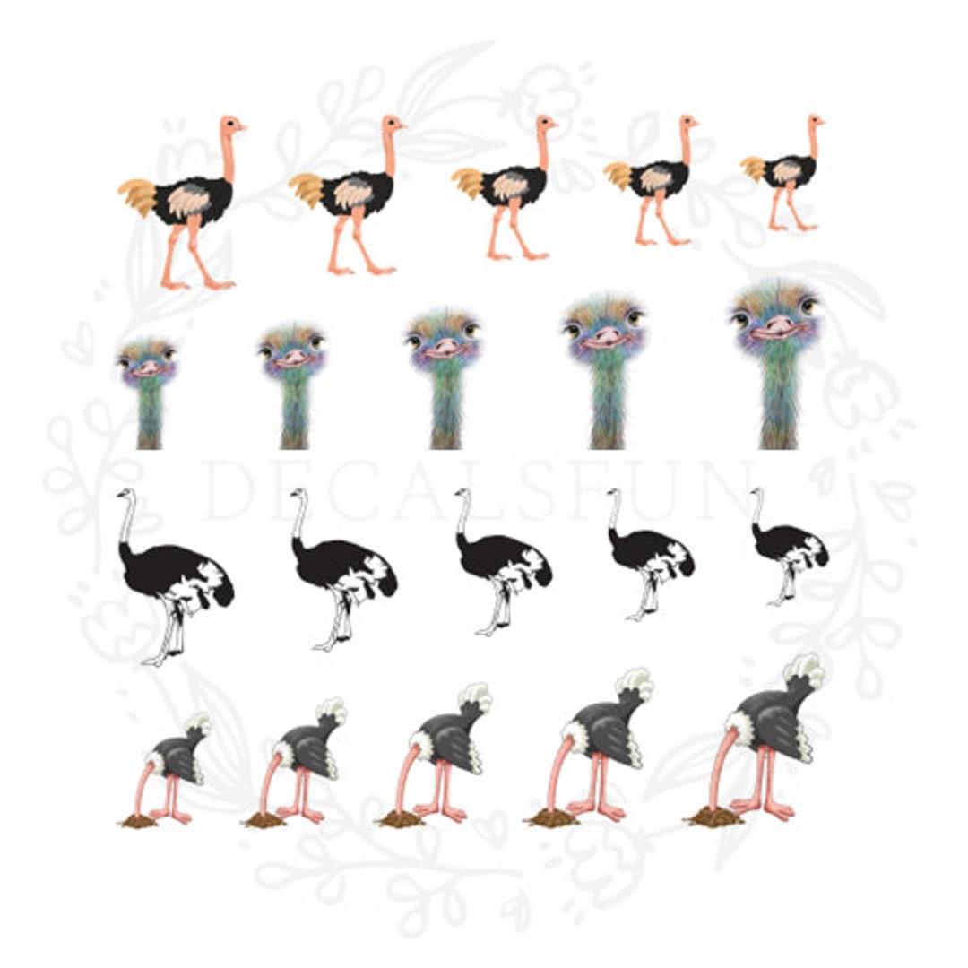 Ostrich Nail Art Water Decals - Etsy
