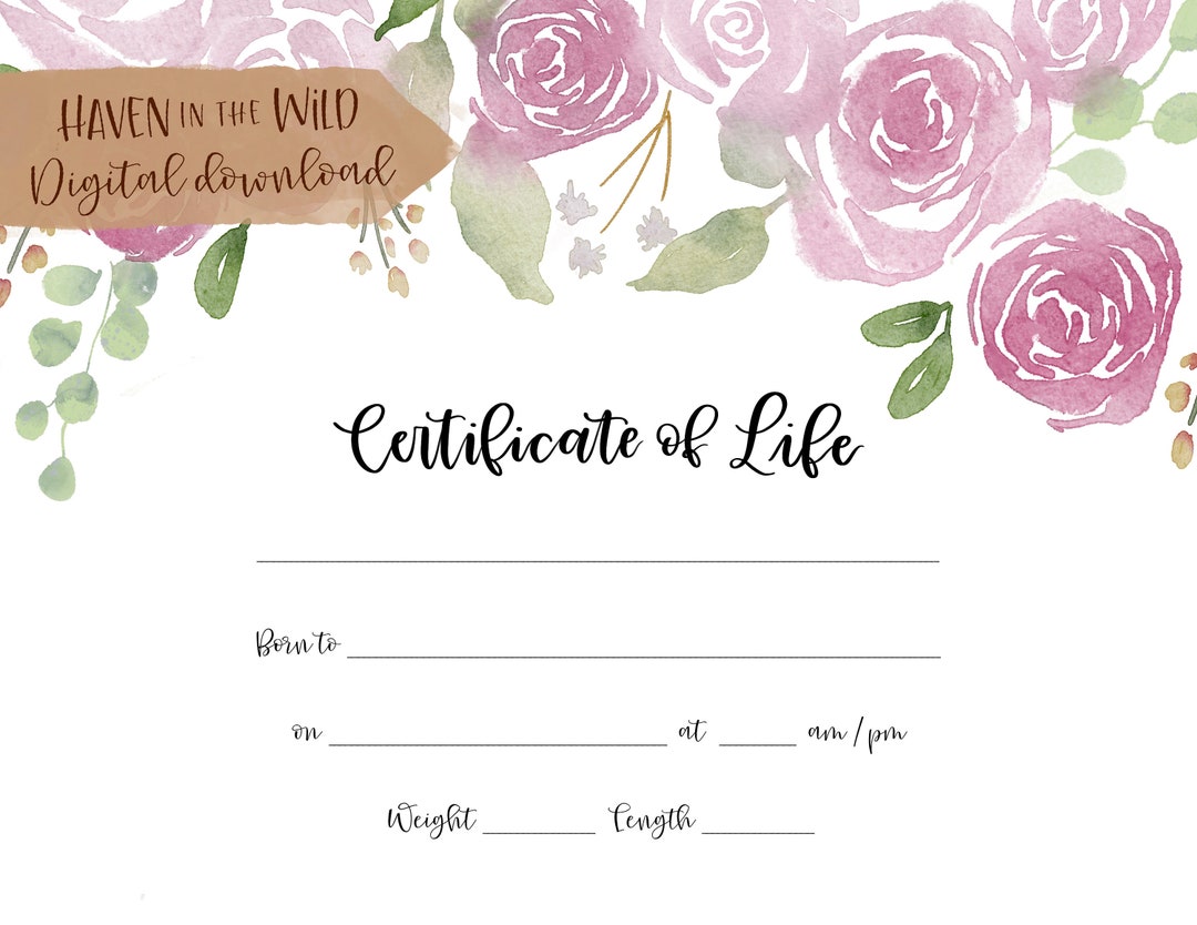 Certificate of Life for Miscarriage, Stillbirth & Infant Loss | Blush ...