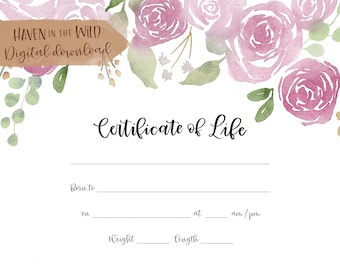 Stillbirth Birth Certificate - Etsy