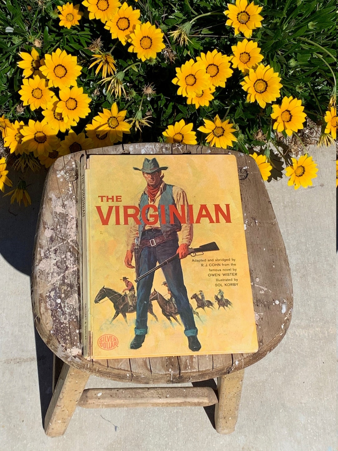 Vintage the Virginian Children's Book Adapted by R.J. Cohn From the ...