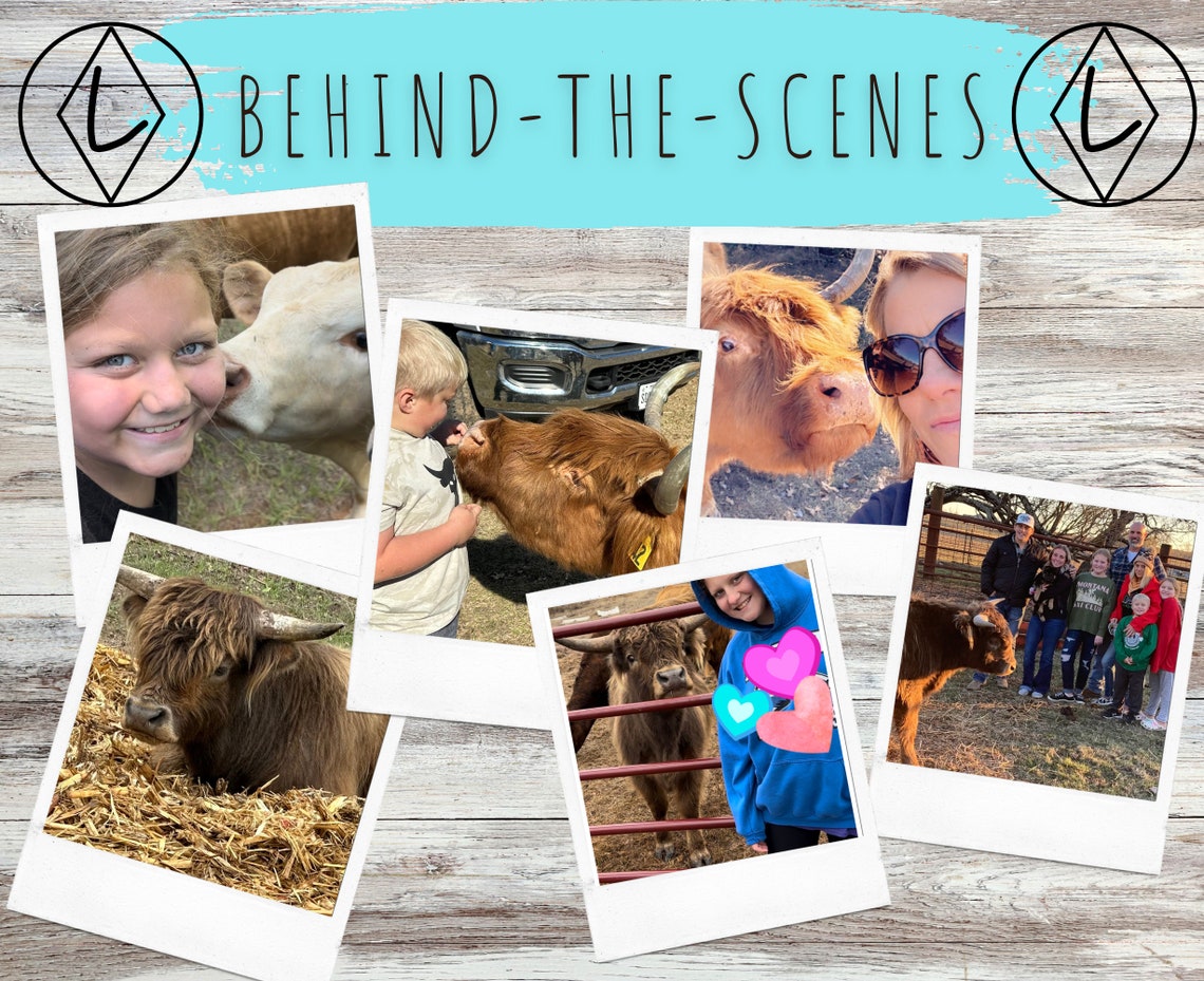 Highland Cow Friends in Tubes PNG INSTANT DOWNLOAD Cow Summer Highland ...