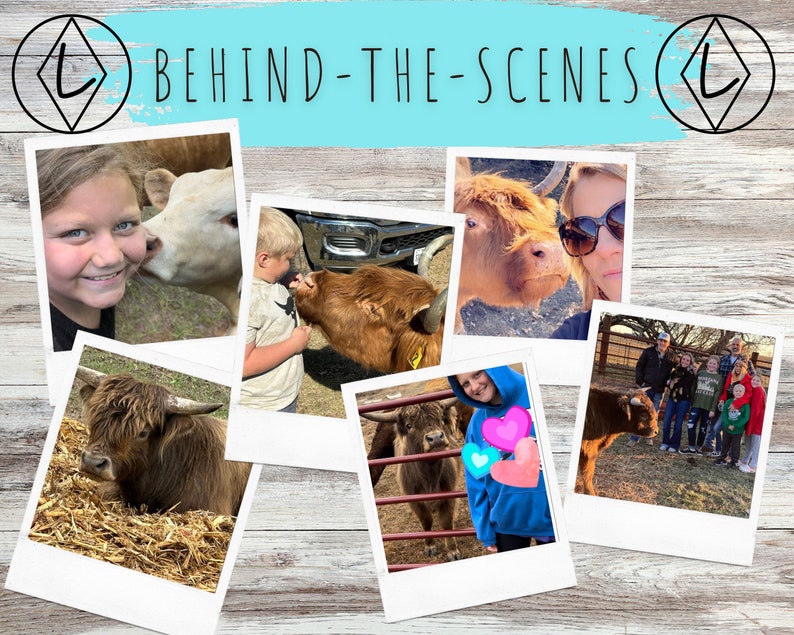 Howdy Prek Pre-k Western Classroom Decor Welcome Back to School Cowboy ...