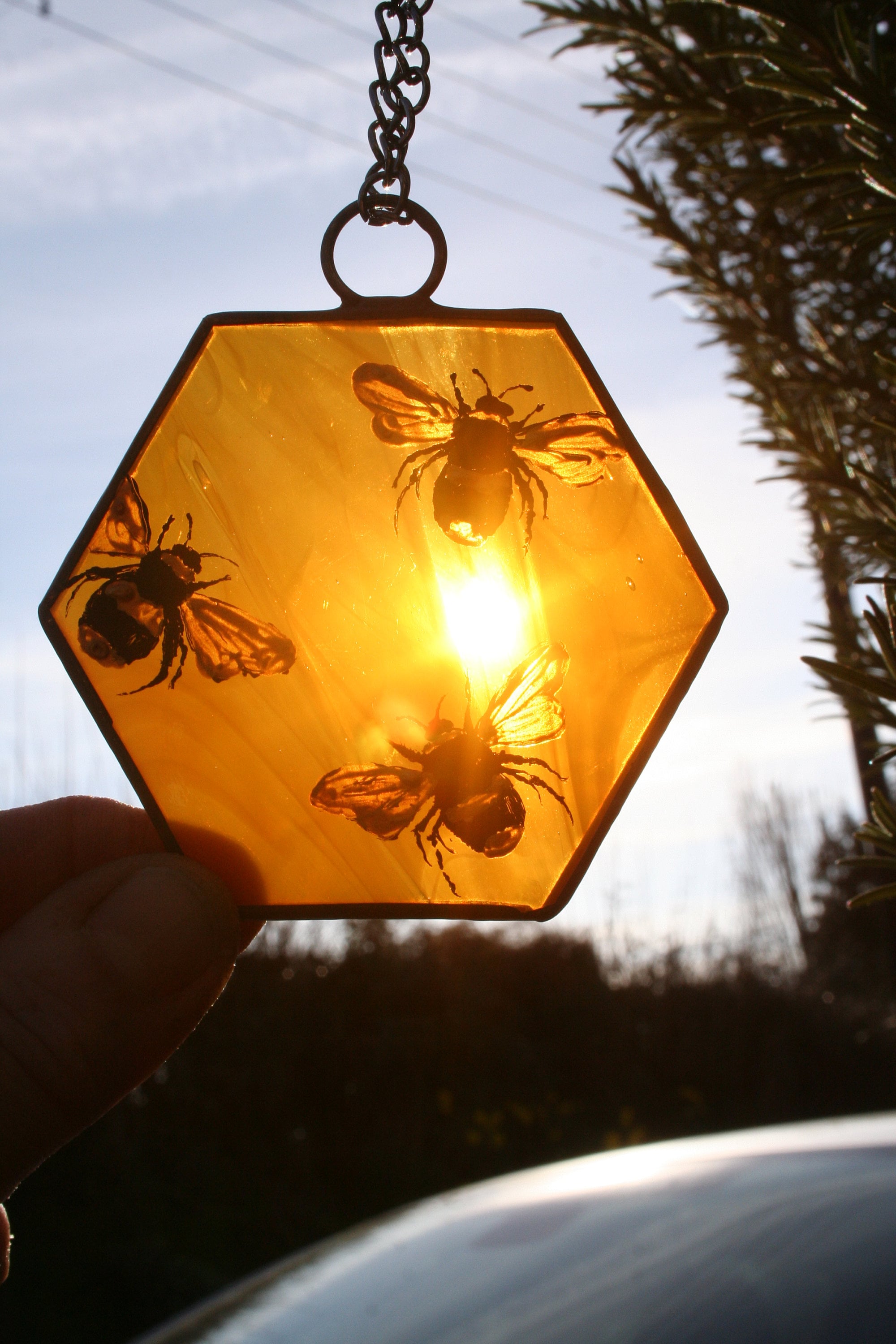 Delicate Hand Painted Honey Bees on an Wispy Amber Honeycomb. | Etsy UK