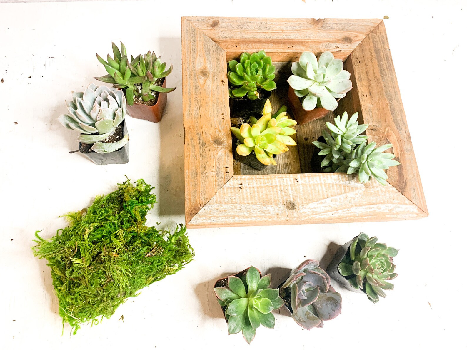 Square Succulent Arrangement Planter Succulent Wood Planter - Etsy