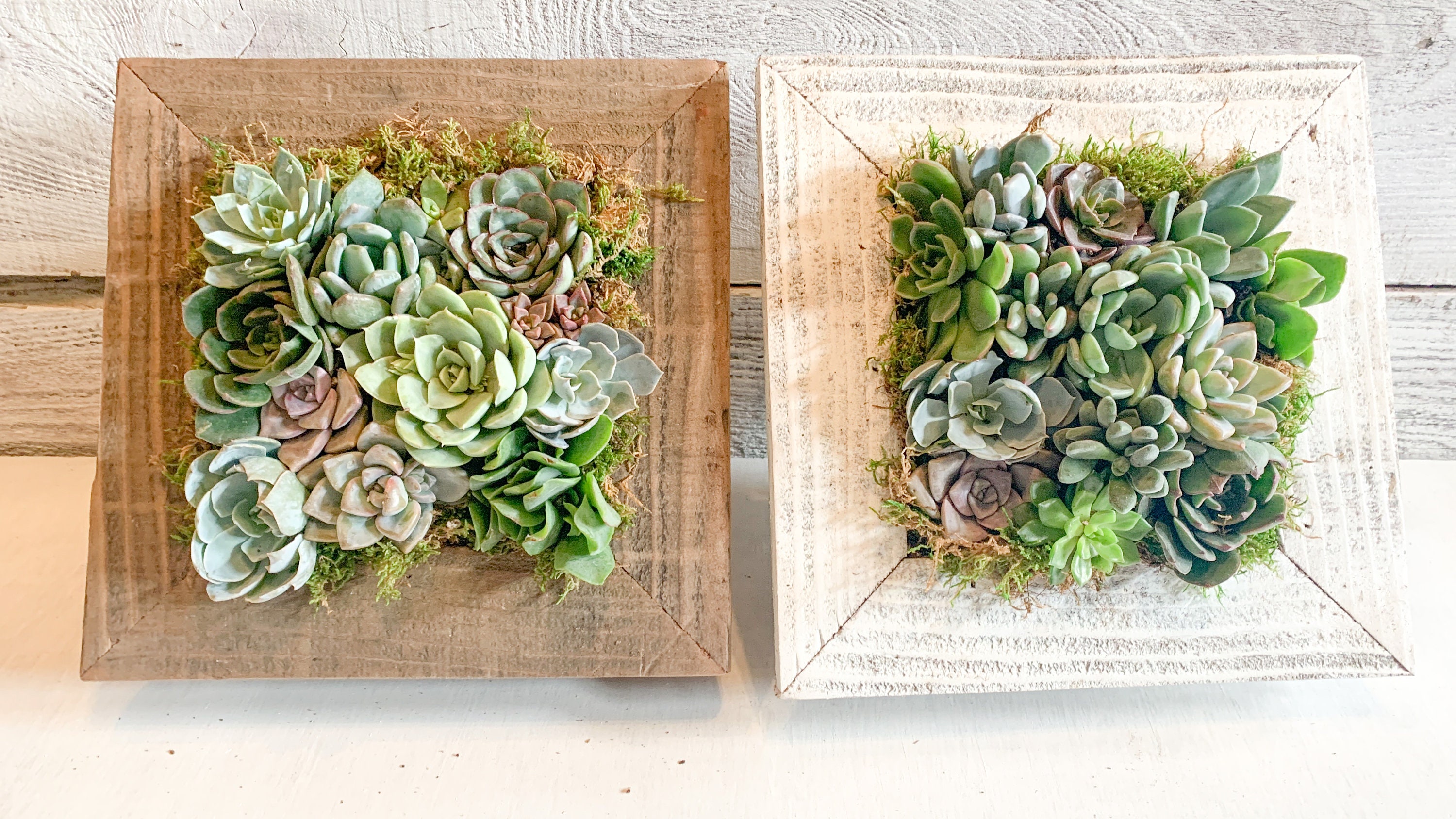 Square Succulent Arrangement Planter Succulent Wood Planter | Etsy