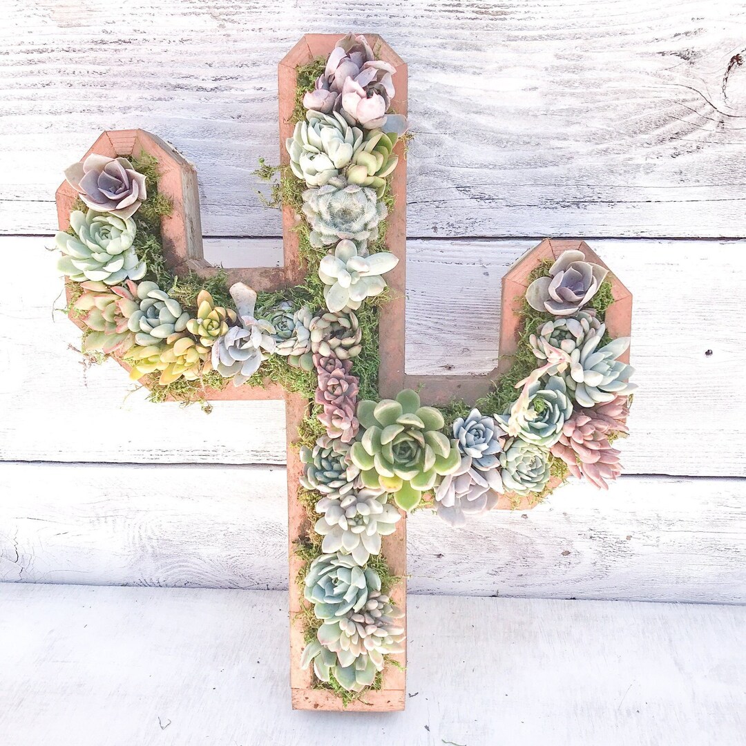 Cactus Succulent Arrangement, Living Cactus, Wooden Planter, Living ...