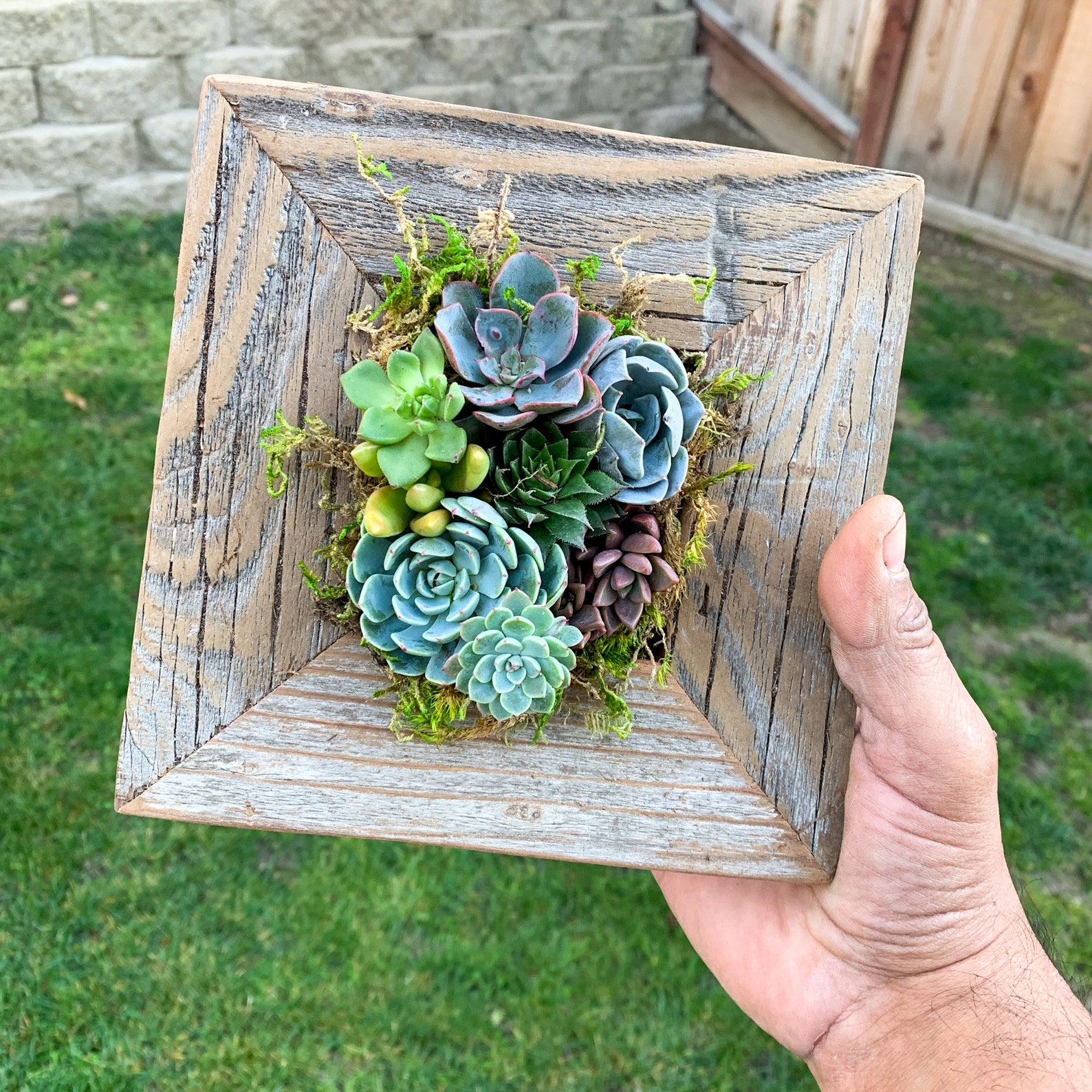 Square Succulent Arrangement Planter Succulent Wood Planter - Etsy