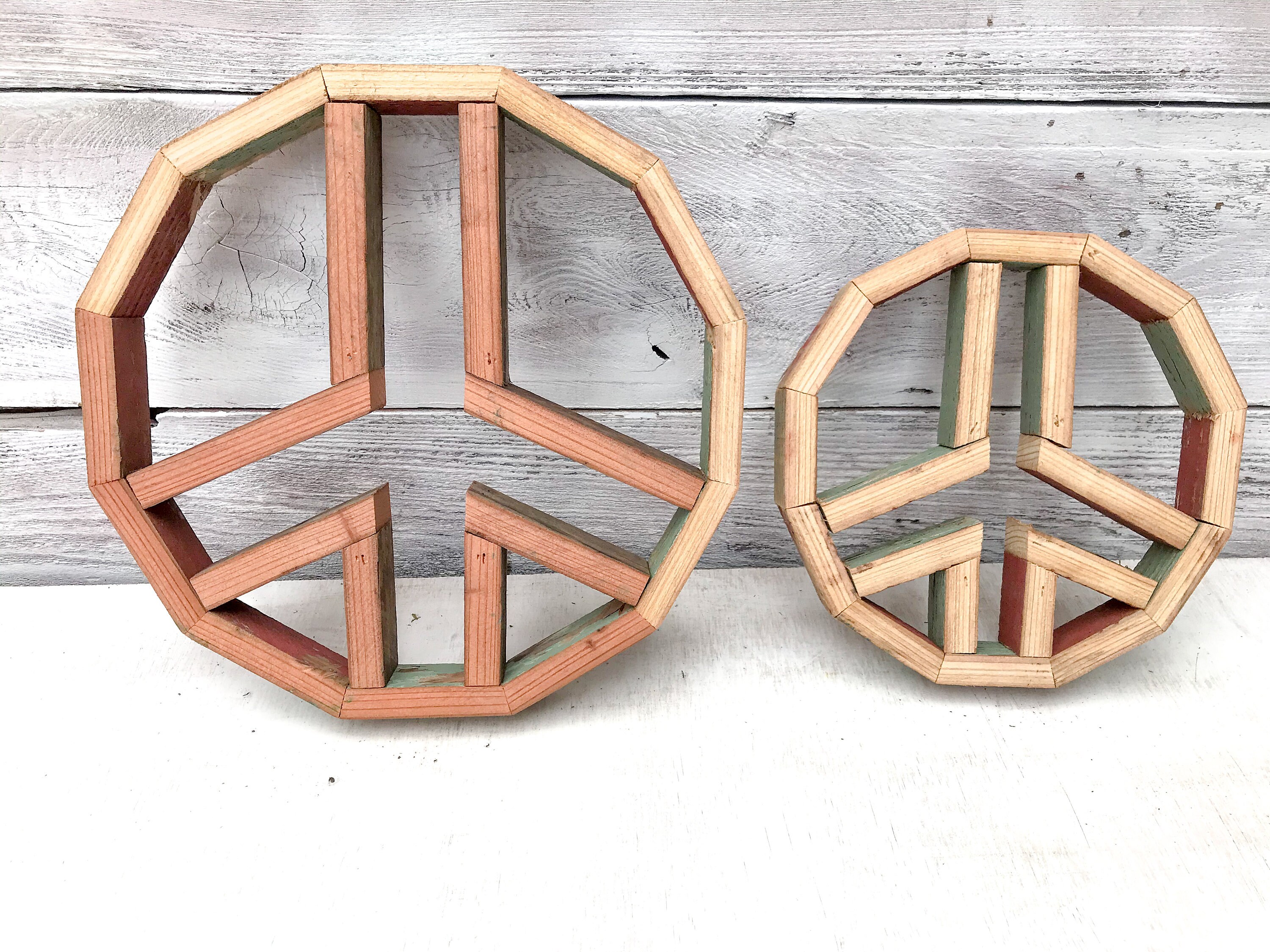 Peace Sign Succulent Arrangement Living Planter Vertical - Etsy