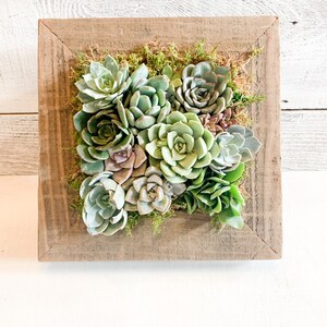 Square Succulent Arrangement Planter Succulent Wood Planter | Etsy