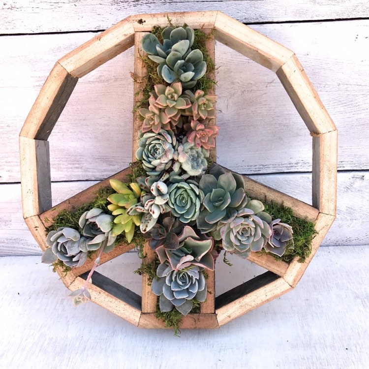 Peace Sign Succulent Arrangement Living Planter Vertical - Etsy