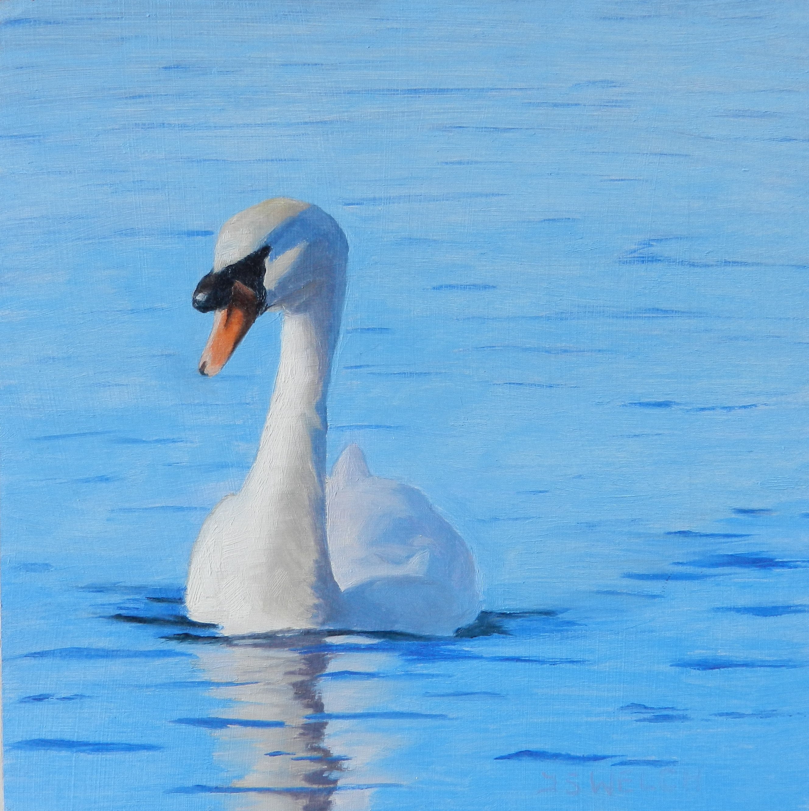 White Swan Painting
