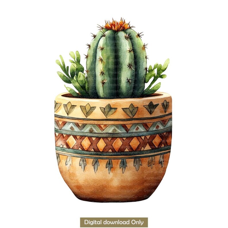 Watercolor Cactus Clipart: Desert Plant PNG Images (digital Download - Etsy