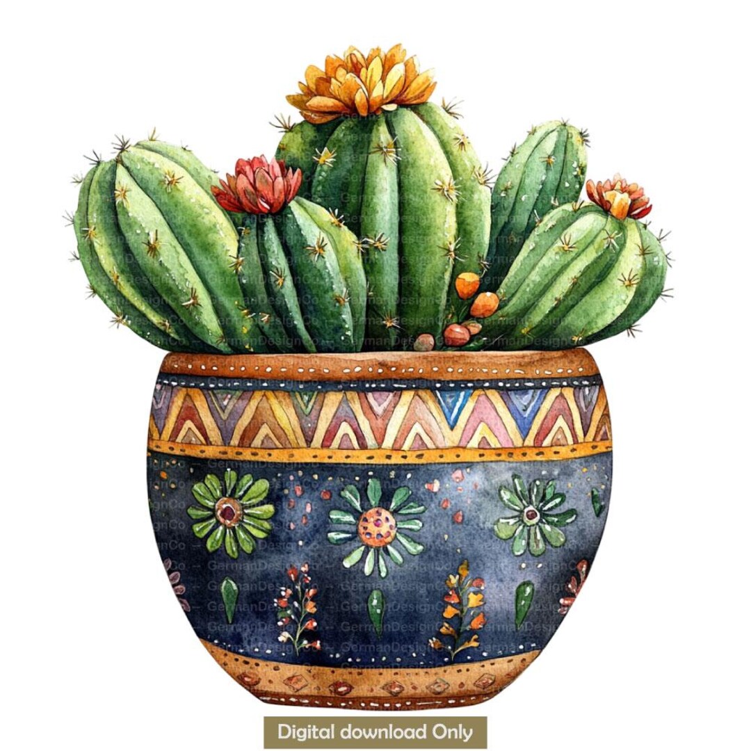 Watercolor Cactus Clipart: Desert Plant PNG Images (digital Download - Etsy