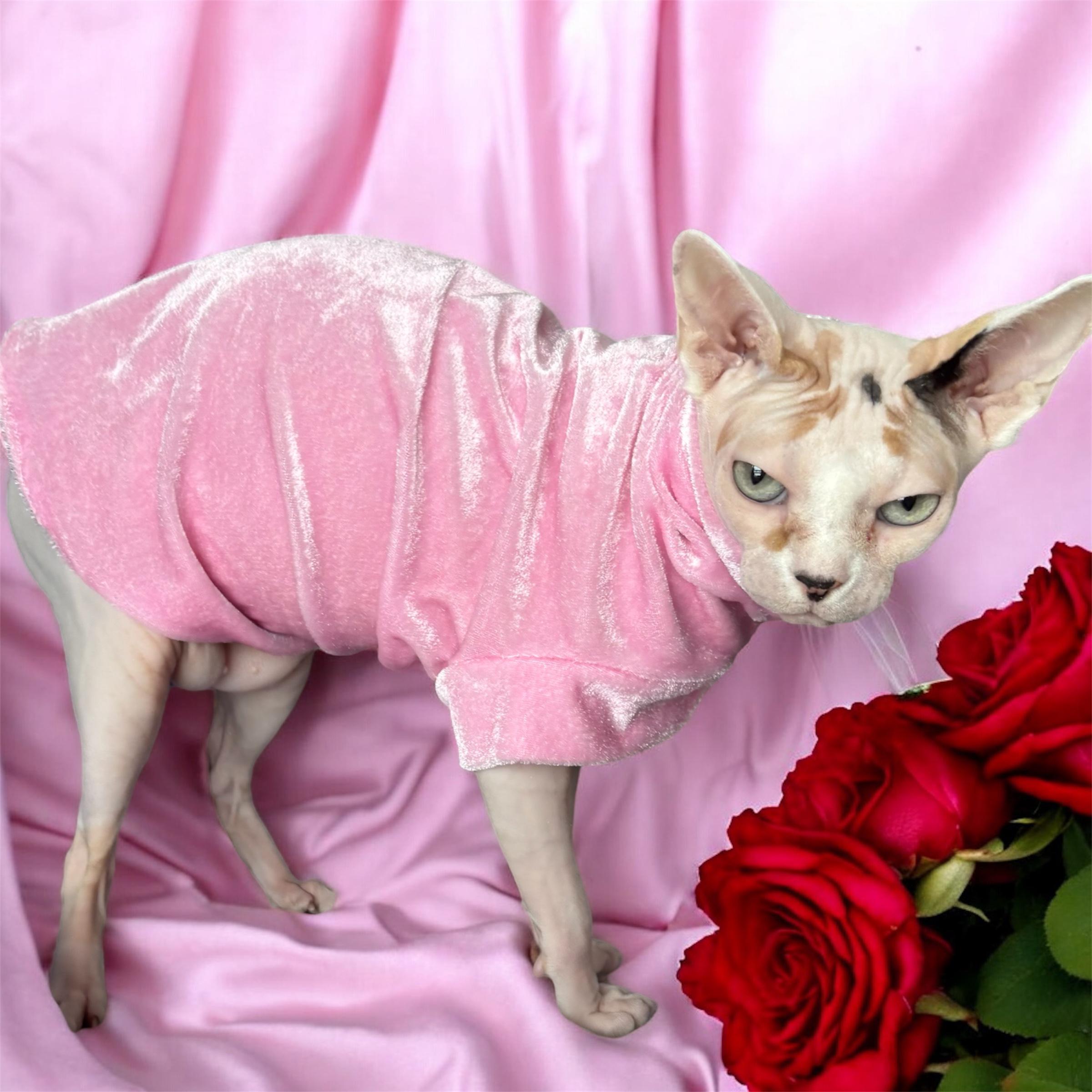 Pink Candy Heart Velour Sphynx Cat Sweater Valentines Day - Etsy