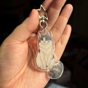 Longhaired White and Gray Cat Glitter Acrylic Keychain - Etsy