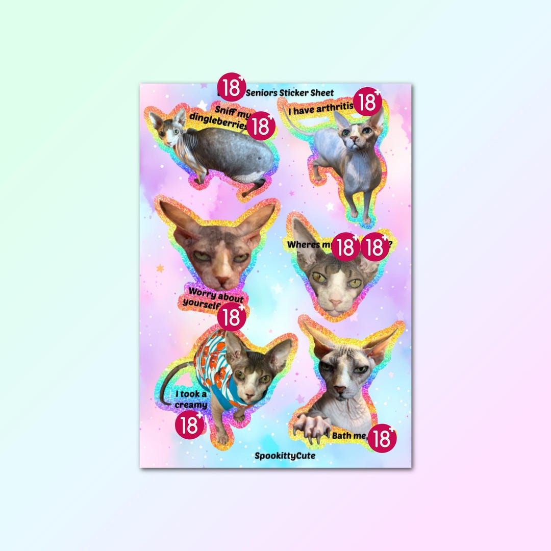 Sphynx Cats NO FILTER Seniors Sticker Sheet 18+ ADULT - Etsy