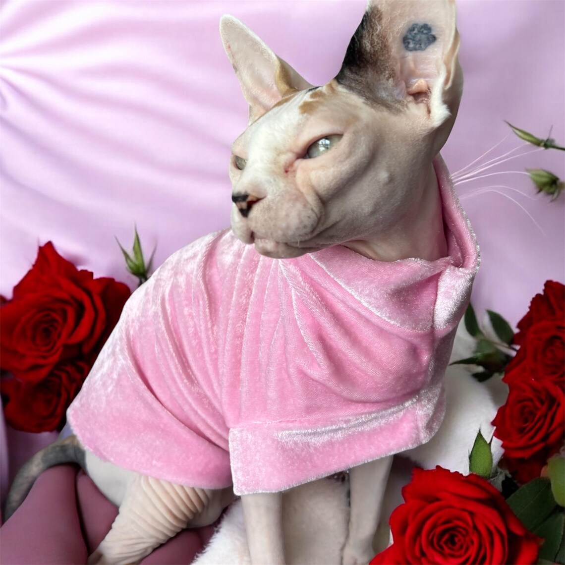 Pink Candy Heart Velour Sphynx Cat Sweater Valentines Day - Etsy