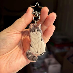 Longhaired White and Gray Cat Glitter Acrylic Keychain - Etsy