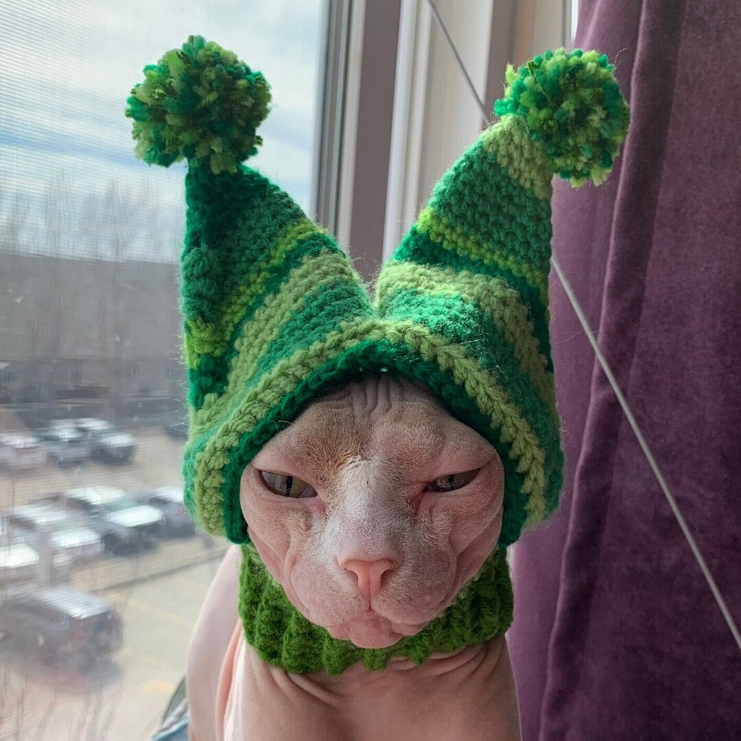 Handmade Sphynx Crotchet Hats for Cats Green Moss ONE SIZE - Etsy