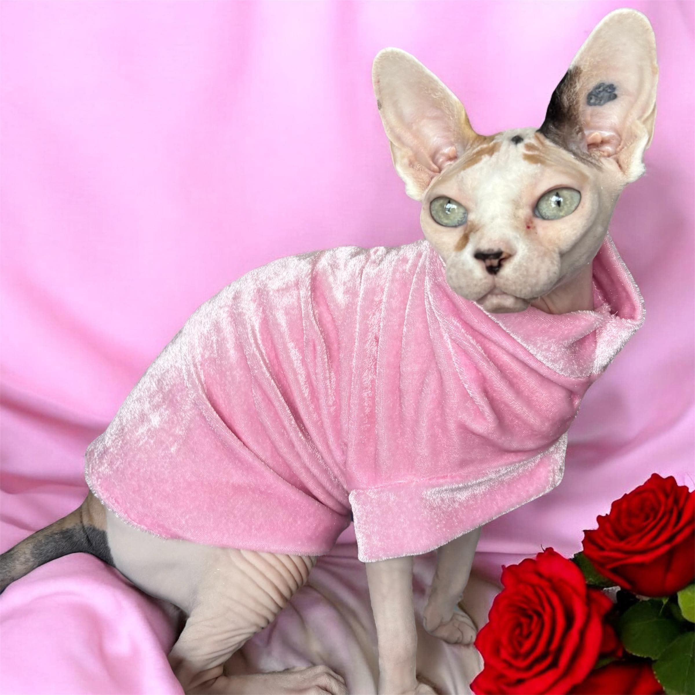 Pink Candy Heart Velour Sphynx Cat Sweater Valentines Day - Etsy