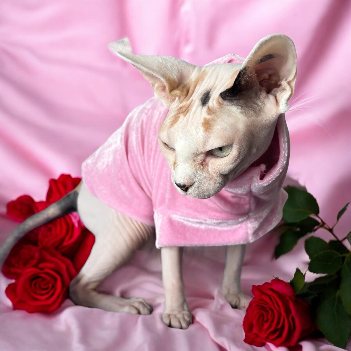 Pink Candy Heart Velour Sphynx Cat Sweater Valentines Day - Etsy