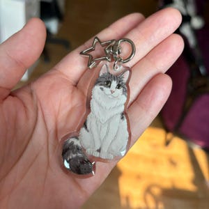 Longhaired White and Gray Cat Glitter Acrylic Keychain - Etsy