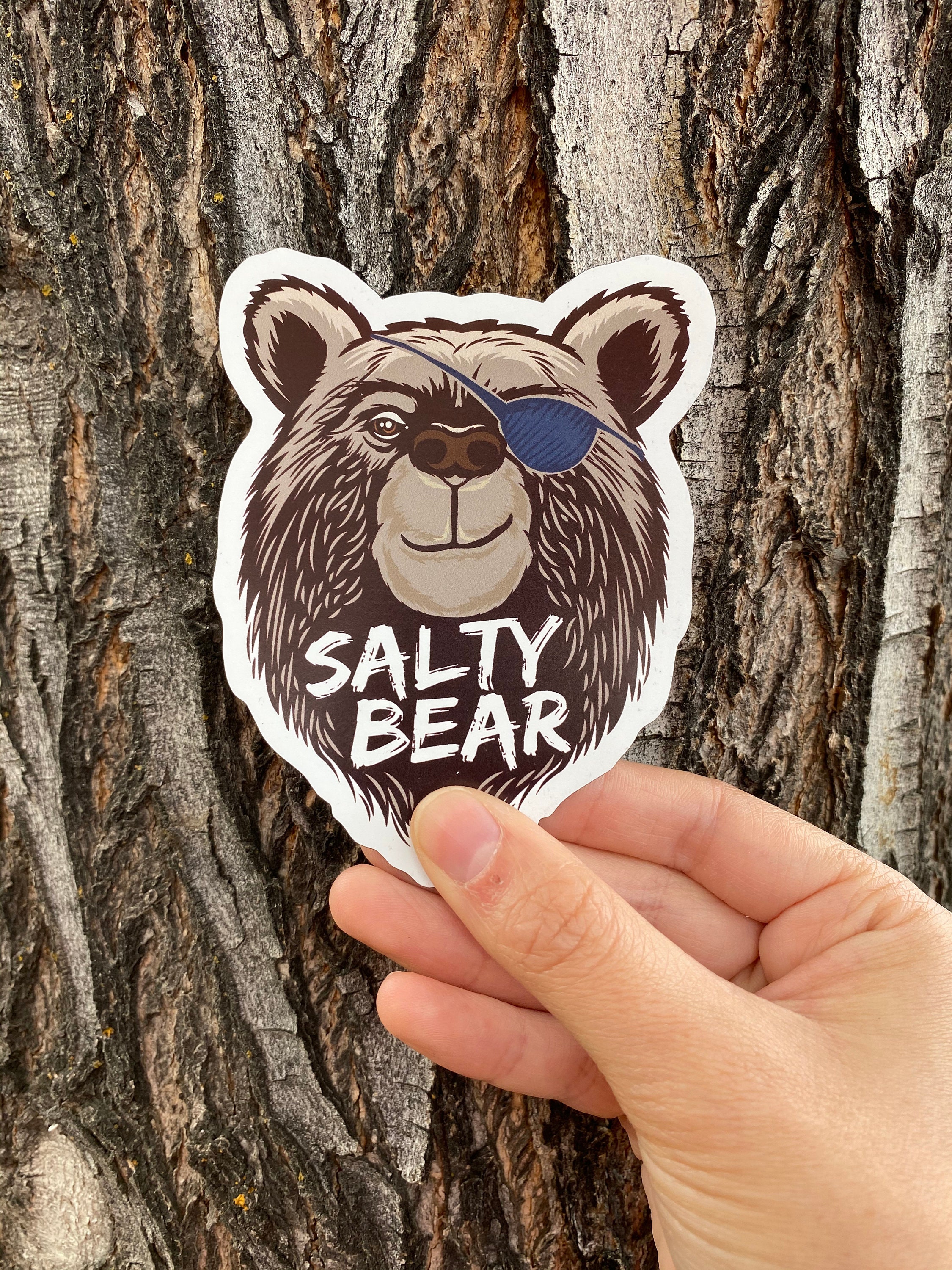 Salty Bear Magnet Bear Magnet California Adventure Magnet | Etsy