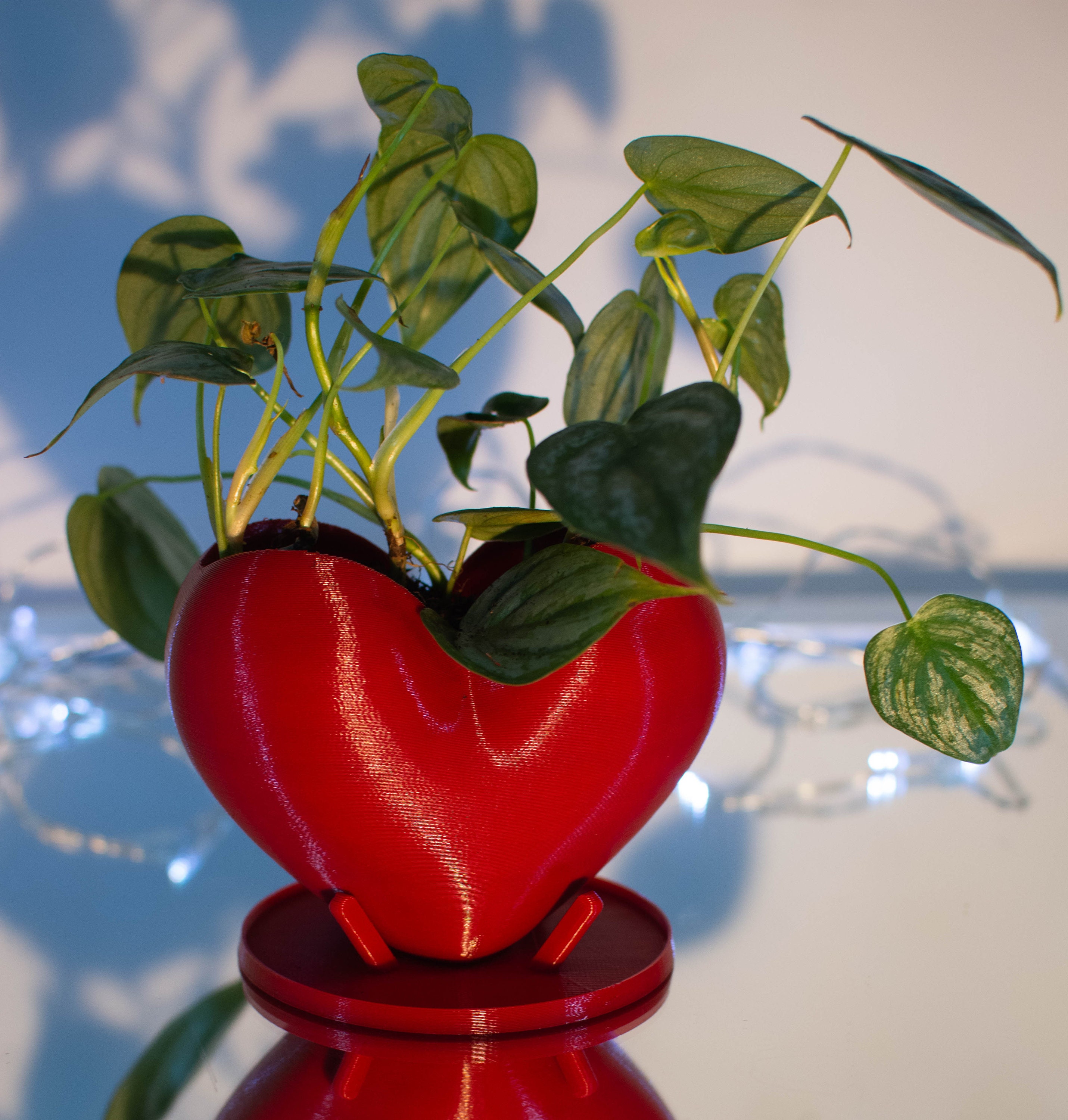 Personalized Heart Shaped Flower Pot for Indoor Plants with | Etsy
