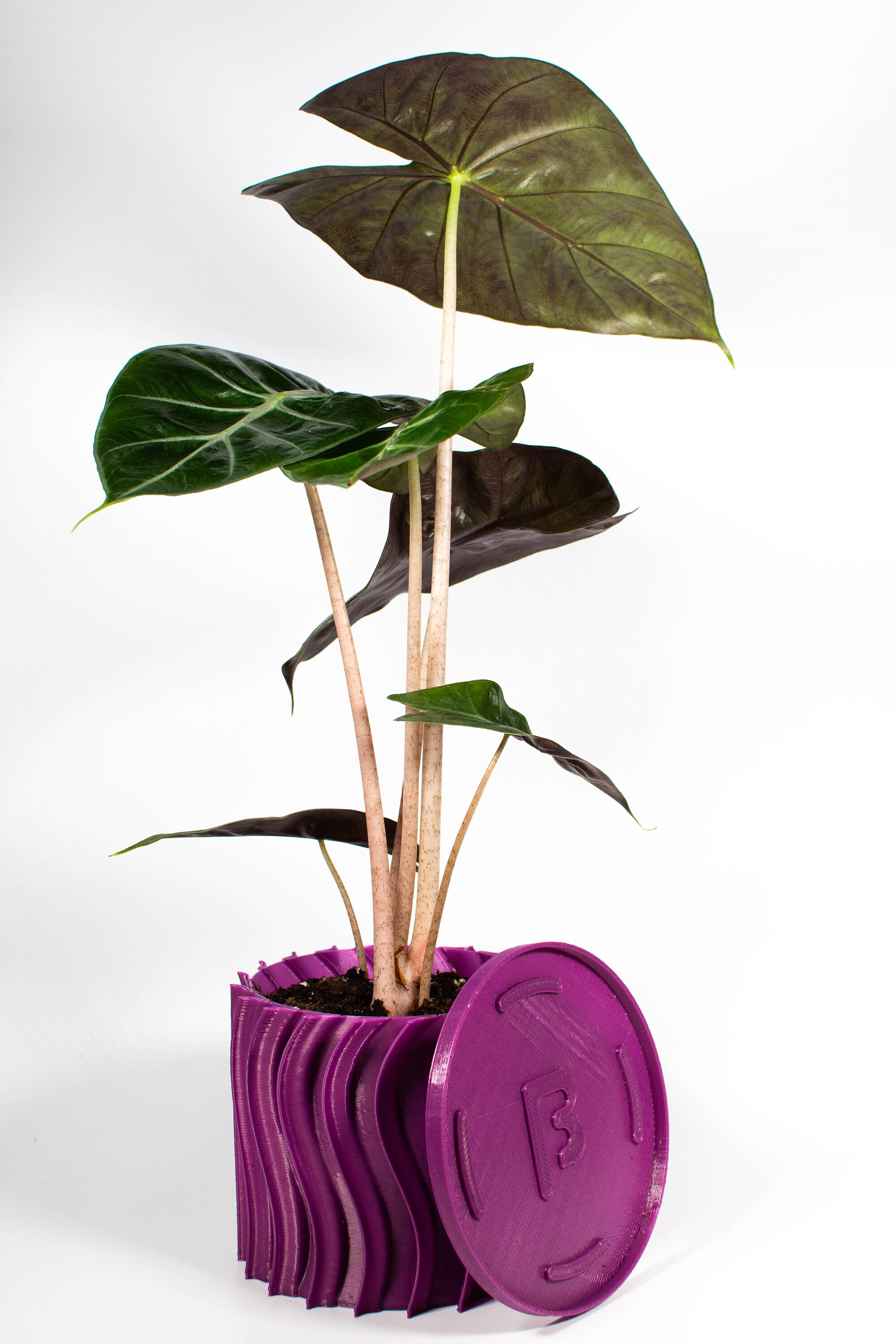 Parametric Flower Pot Snake Trail Indoor/outdoor Planter With - Etsy UK