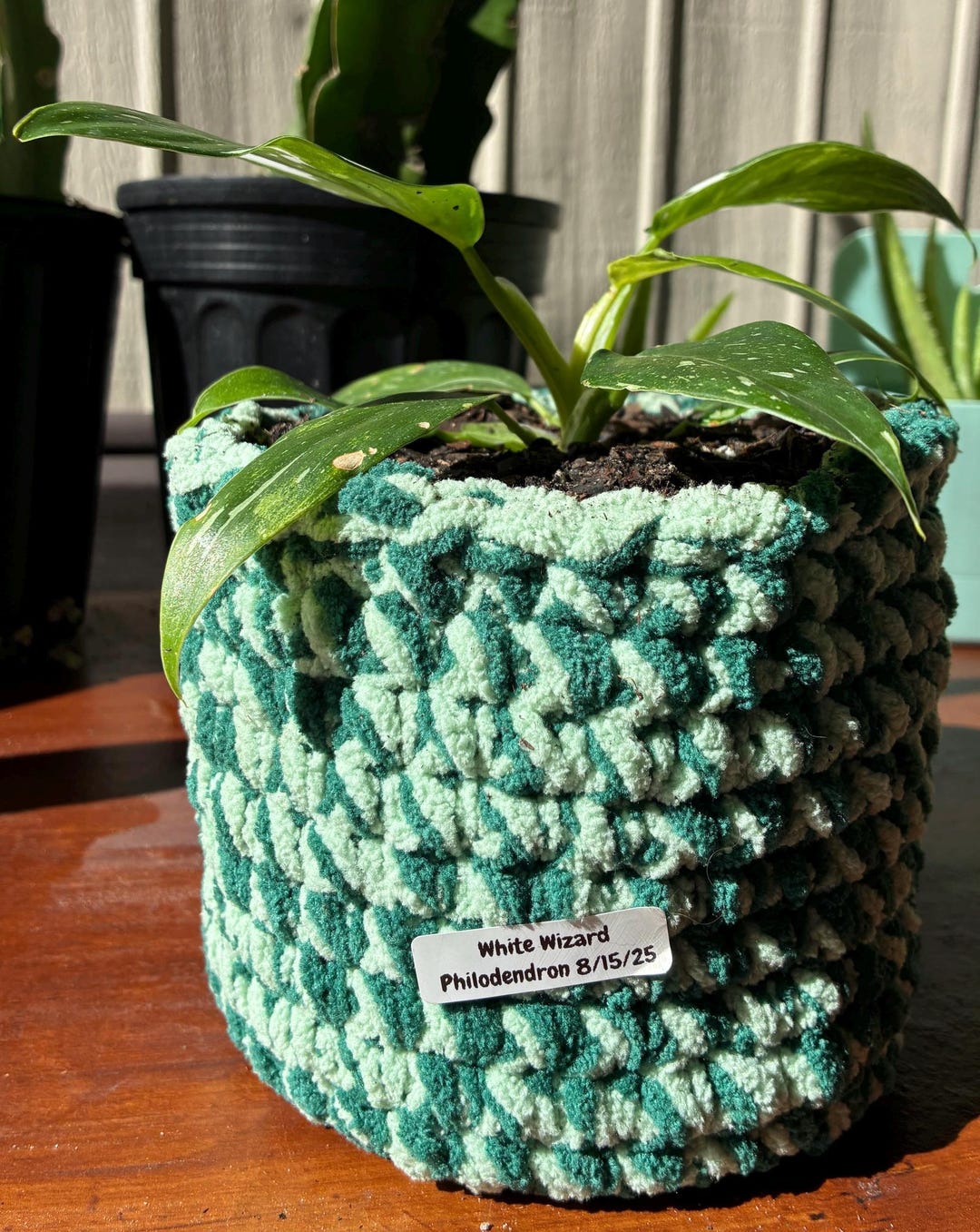 Crocheted Planter, Crochet Plant Pot, Plant Pot Cover, Boho Home Decor ...