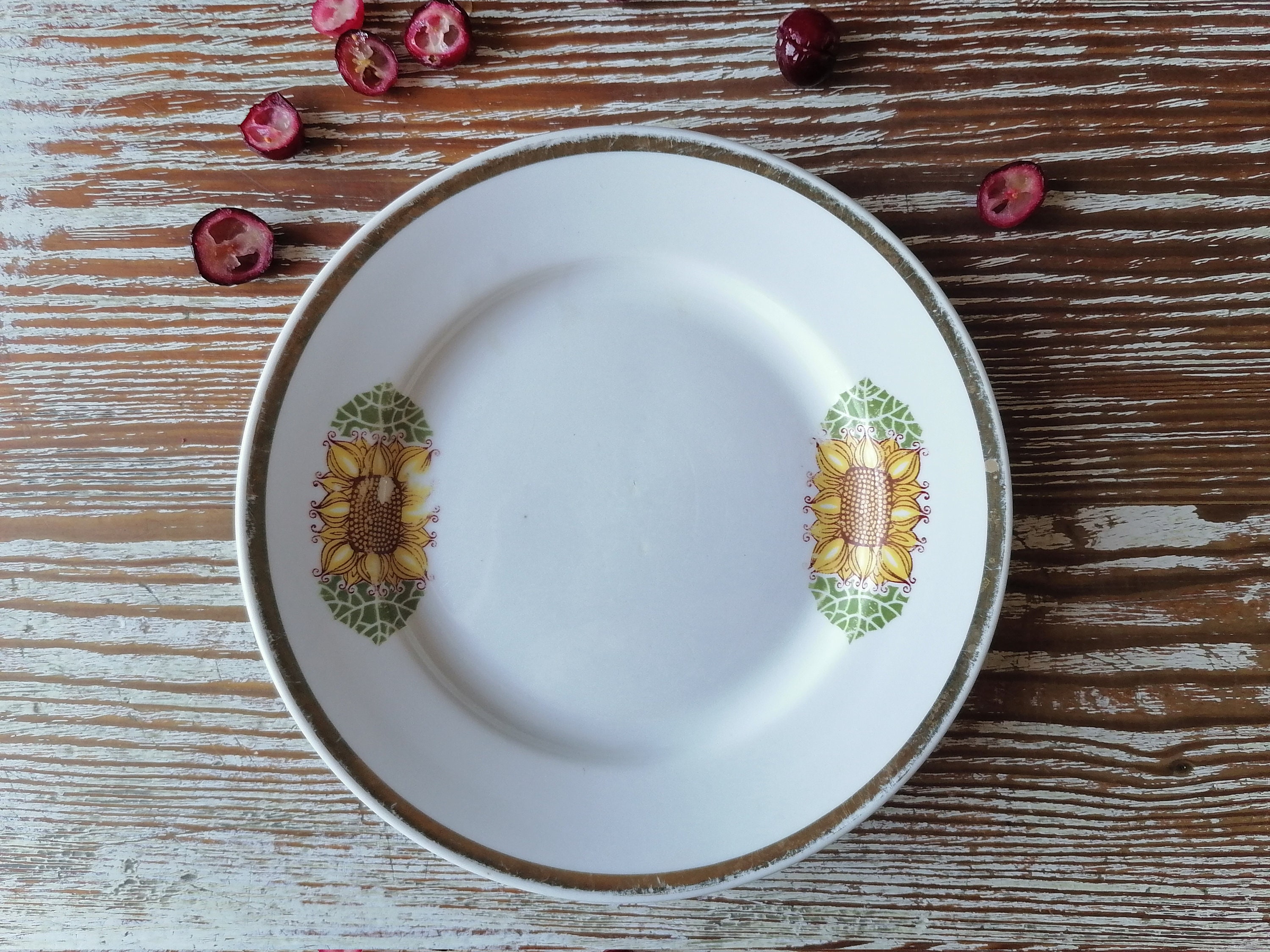 RPR Riga Soviet Latvia 3 brunchbreakfast plates set of 3,Circa Factory ...