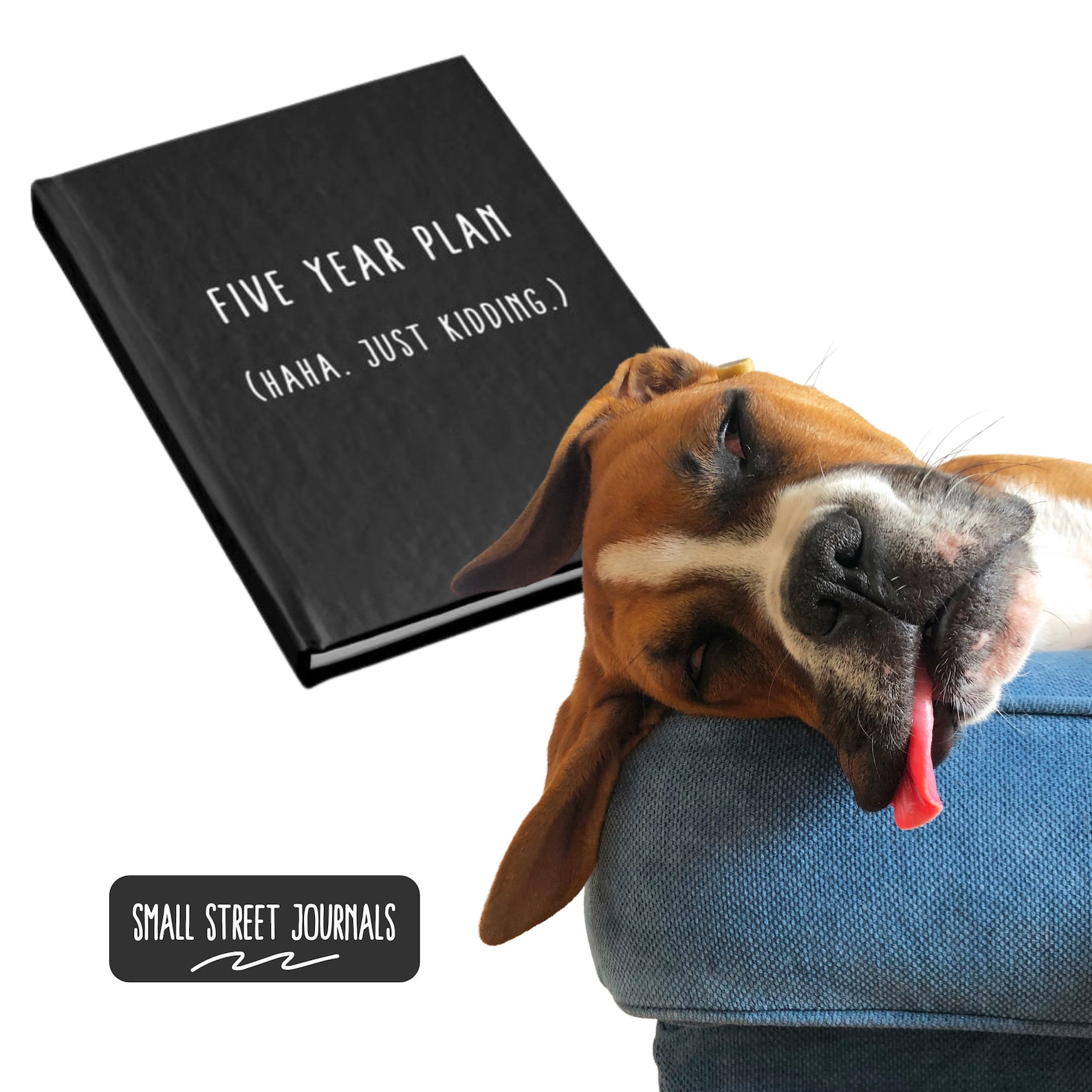 Funny Custom Journal Notebook/five Year Plan Jk/personalized - Etsy