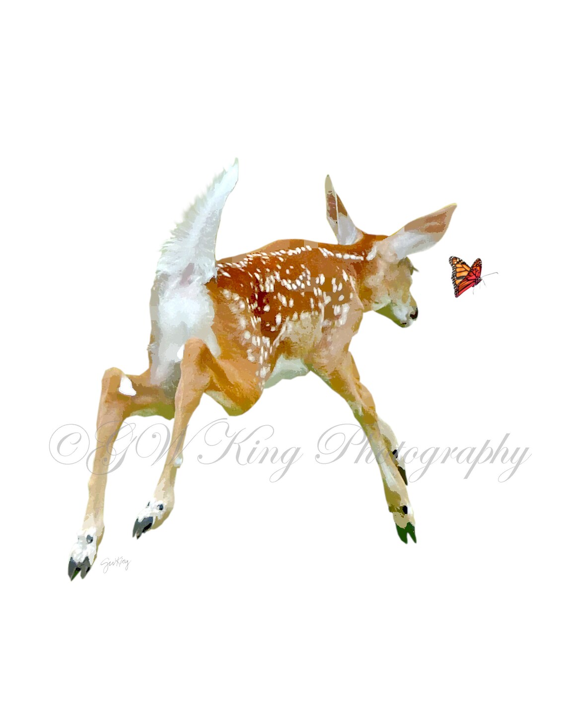 Playful Fawn Printable Photo Art 1 JPG Plus 1 PNG - Etsy