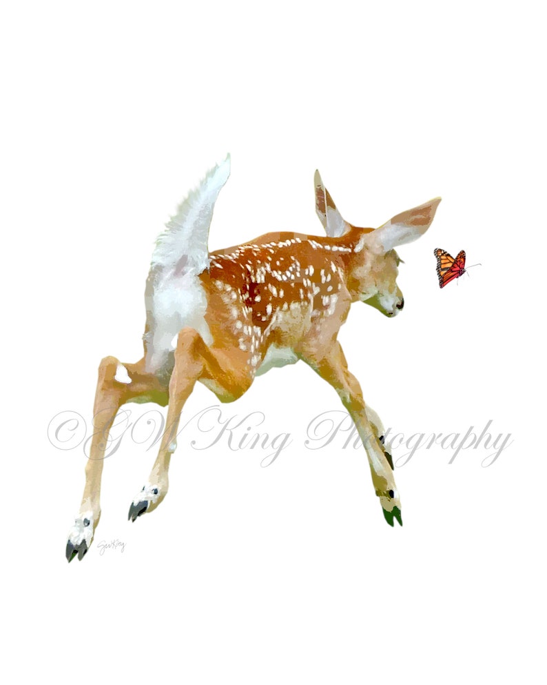 Playful Fawn Printable Photo Art, 1 JPG Plus 1 PNG W/transparent ...