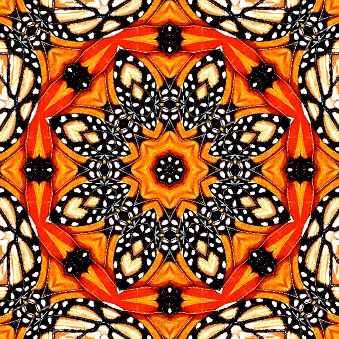 Monarch Digital Art Printable, Prints Square, 1:1 Ratio, Monarch ...