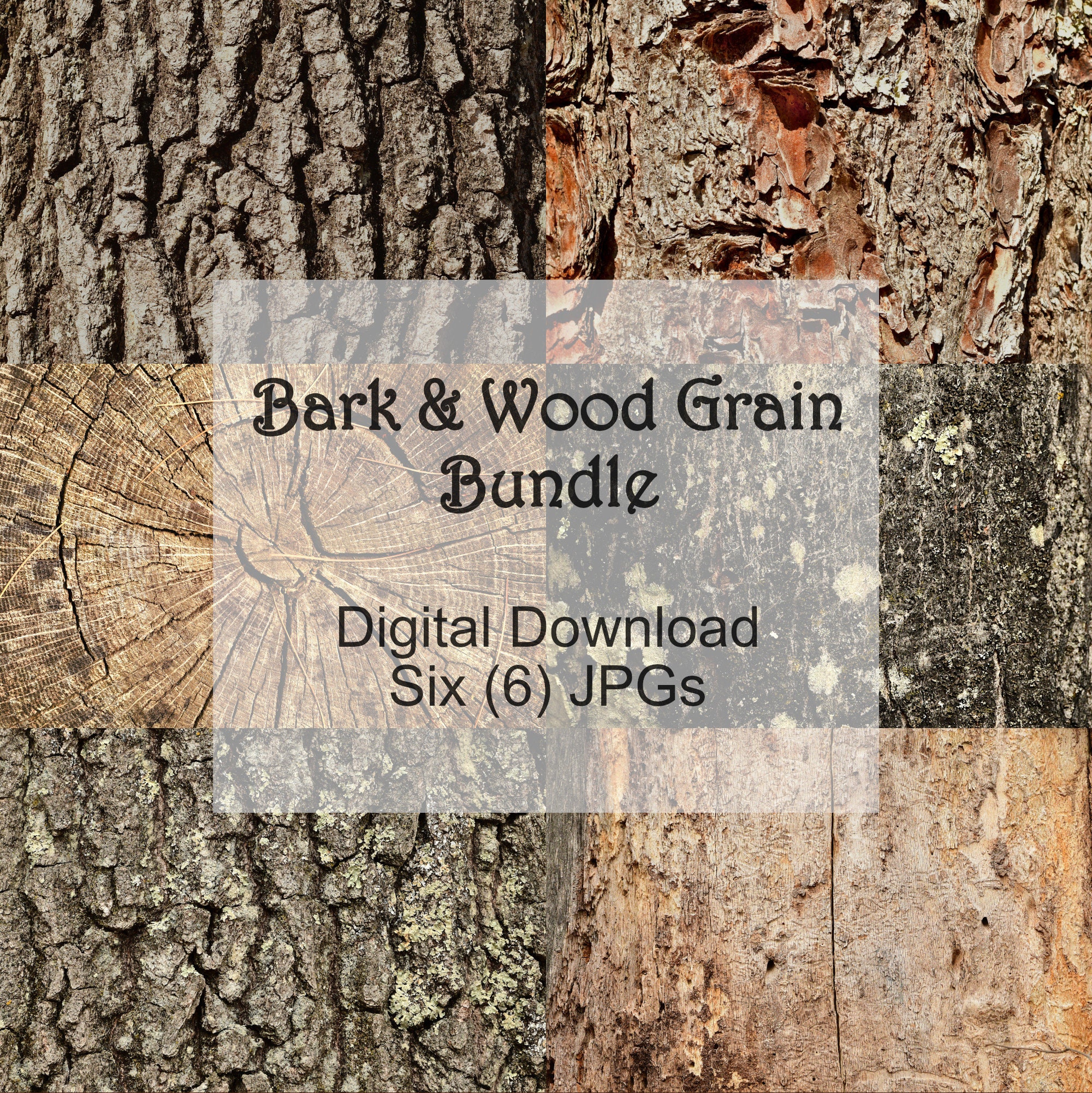 Beech Tree Bark Texture Clipart
