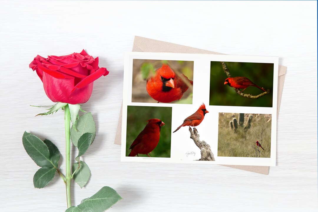 Cardinal Printable, 300DPI, 5x7 Print, A7 Card, Cardinal Digital File ...