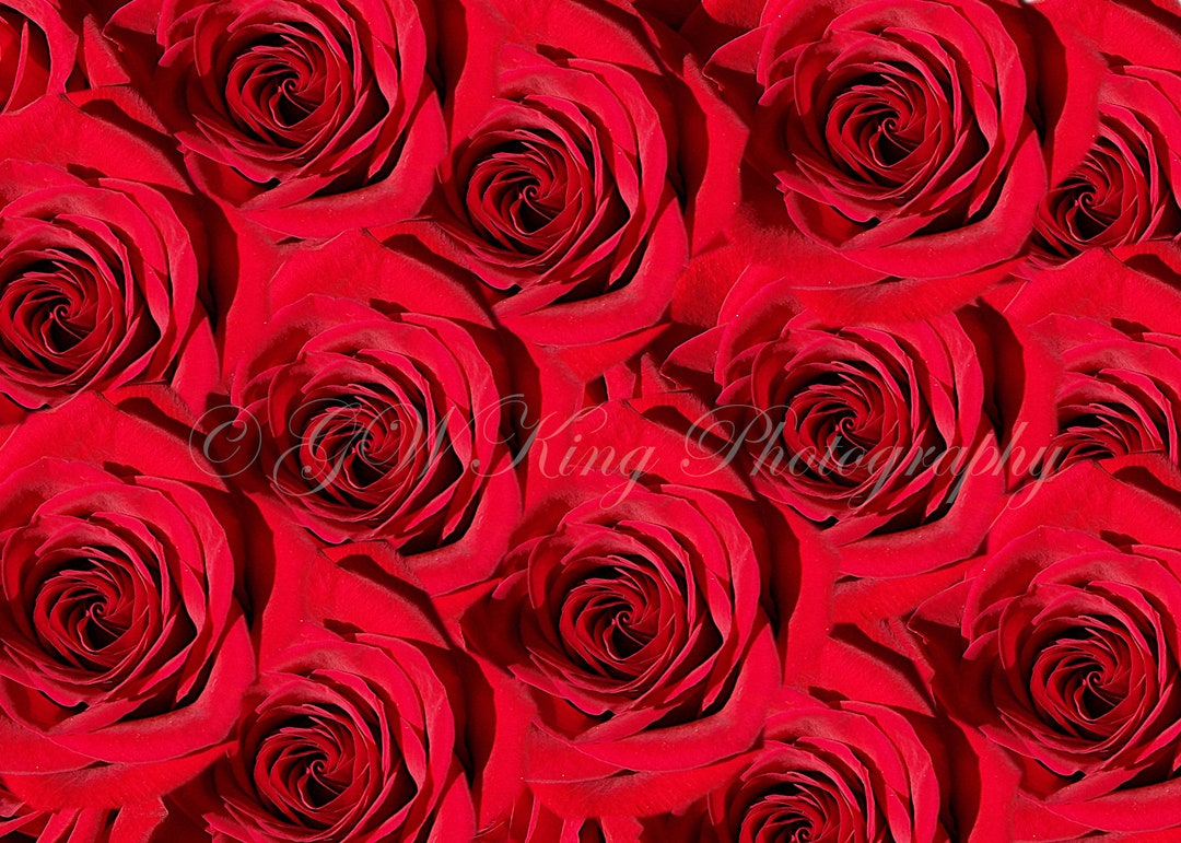 Red Roses Collage 300 DPI Printable, Roses Background, Roses ...
