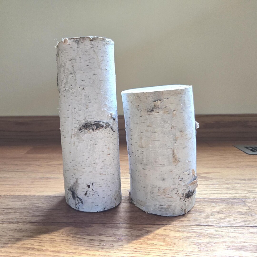 Two Large Paper Birch Pillars, 9 3/4 and 7 Inch, Birch Logs, Birch ...