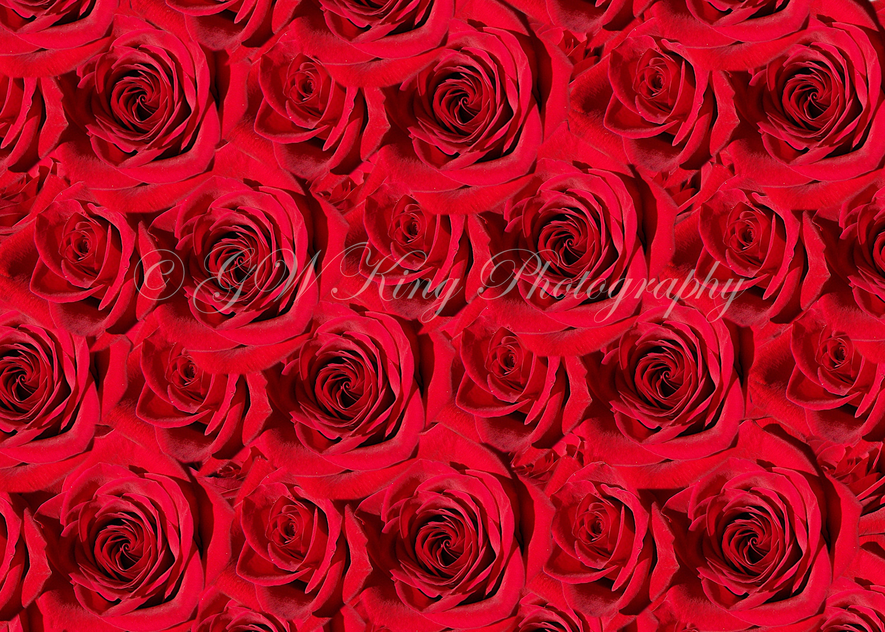 Red Roses Collage Printables, Two Sizes 5x7, 8x10, Roses Background ...