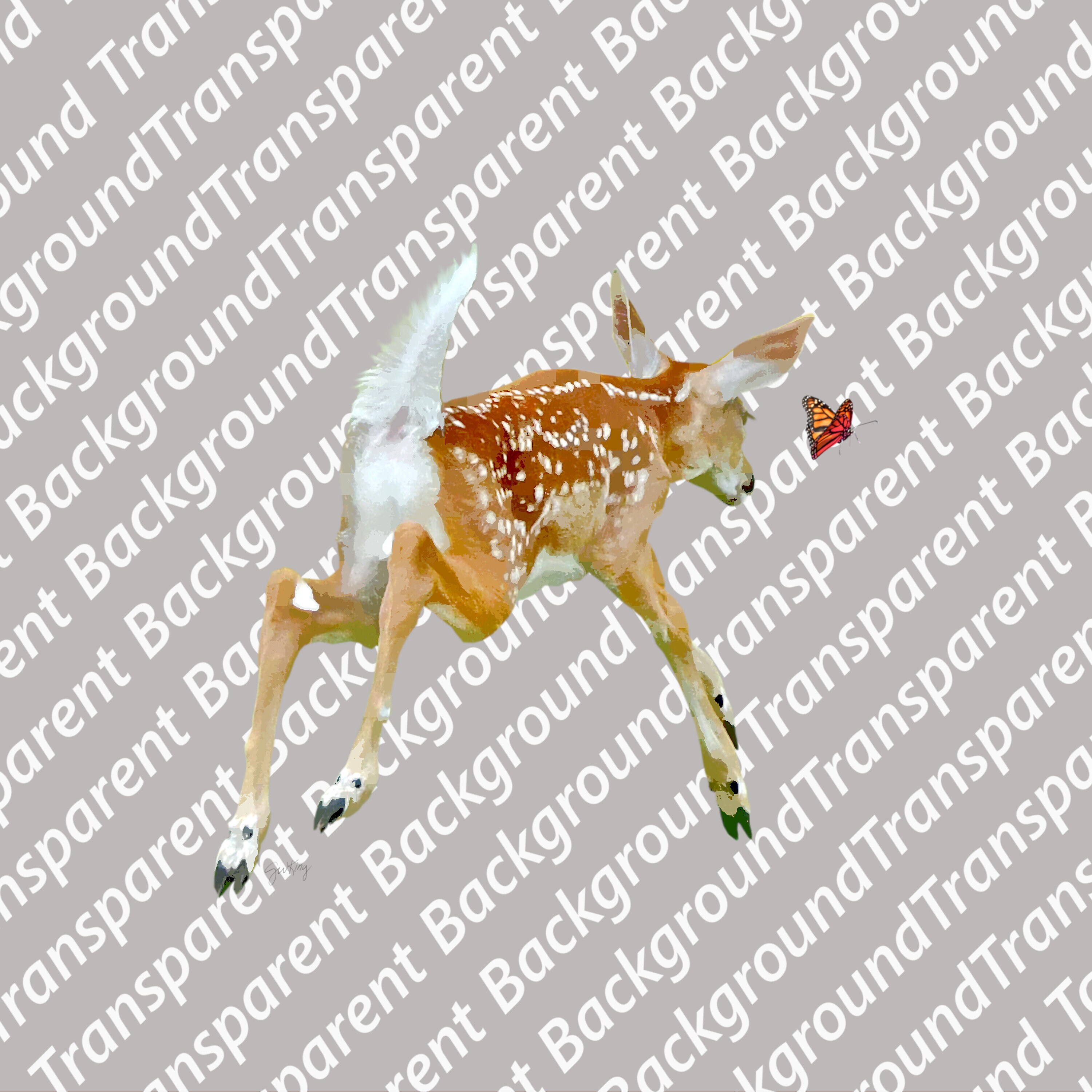 Playful Fawn Printable Photo Art, 1 JPG Plus 1 PNG W/transparent ...